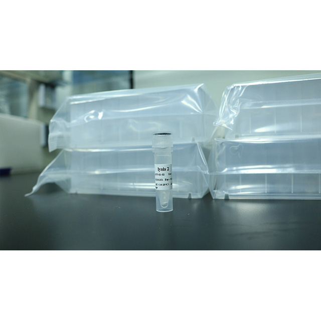 Nucleic Acid(DNA/RNA) Extraction Reagent(Magnetic Beads Method) - Buy ...